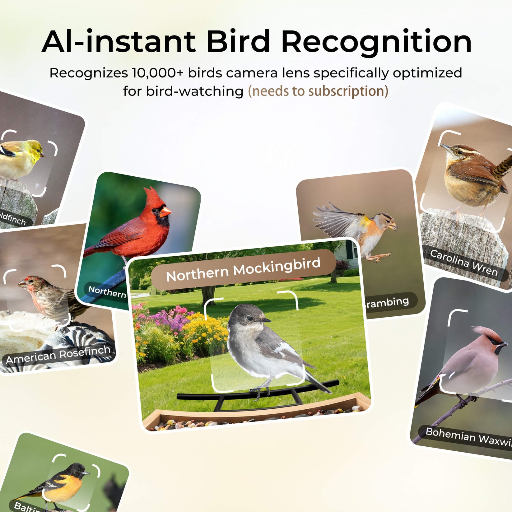 Smart Bird Feeder – TT Nature